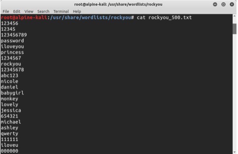 Brute Forcing a Login Page with Burp Suite