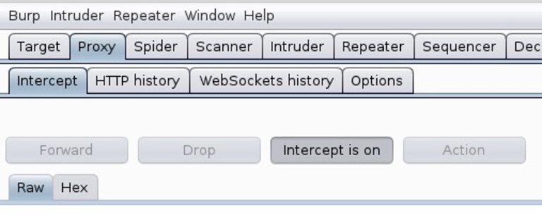 Brute Forcing a Login Page with Burp Suite - CISO Global