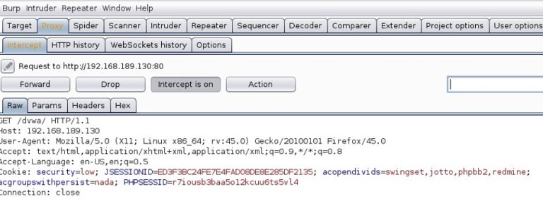 Brute Forcing a Login Page with Burp Suite