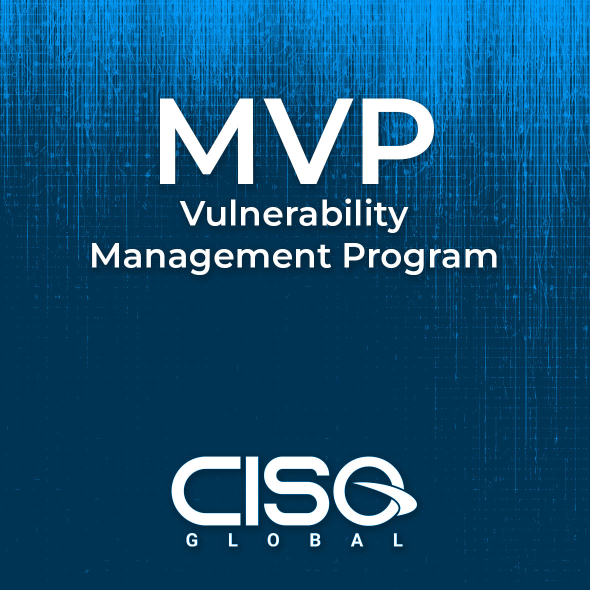 Patch & Vulnerability Management Services | CISO Global