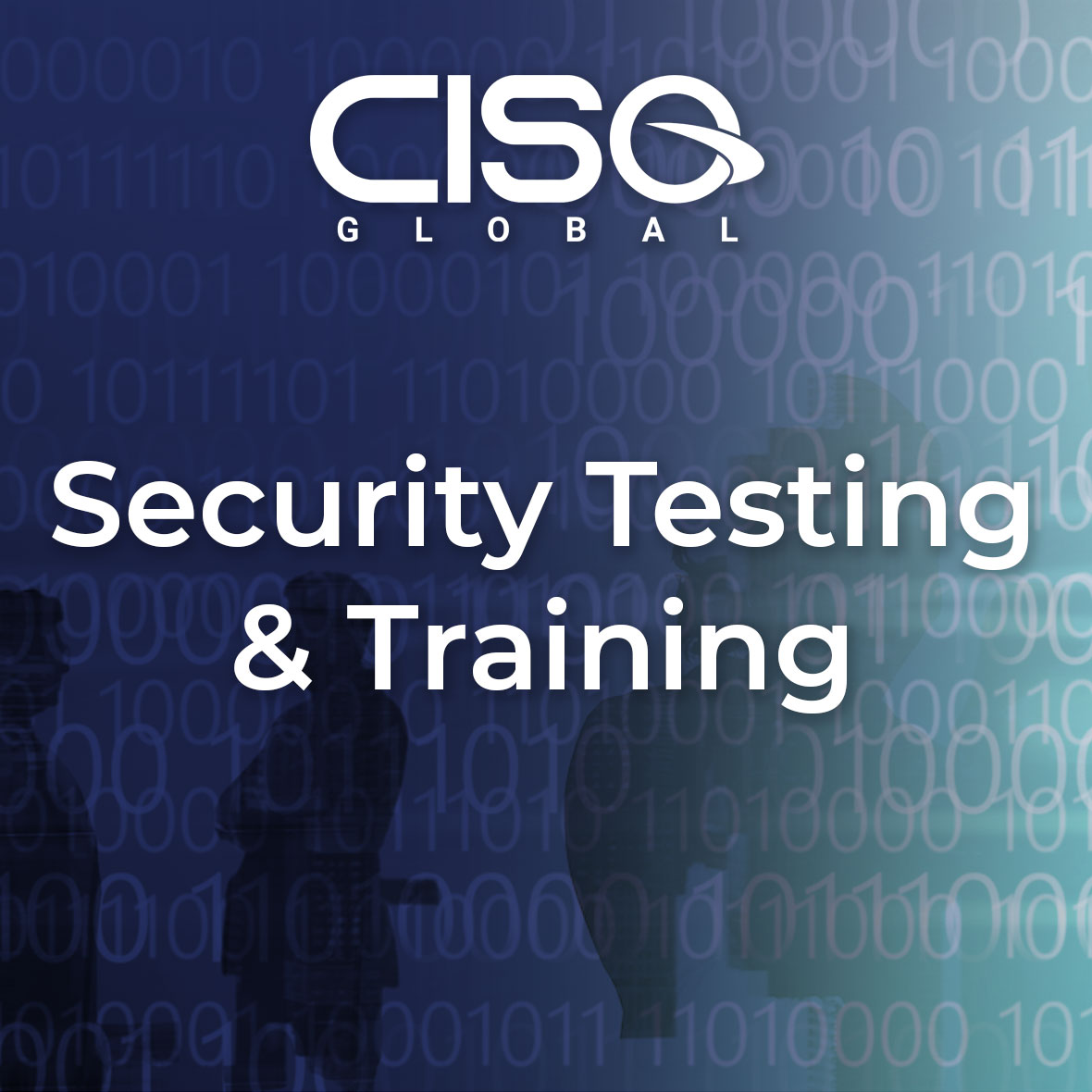 Security Testing and Training